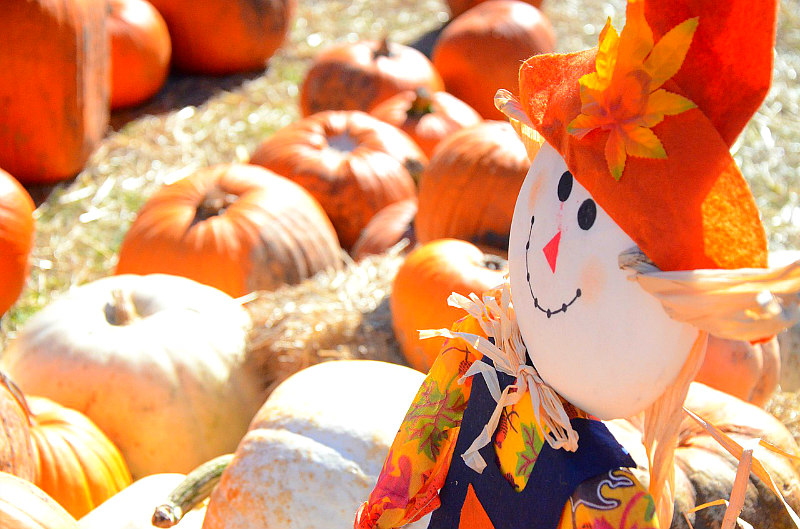 Best Weekend Getaways For Fall Foliage & Family Fun This Year